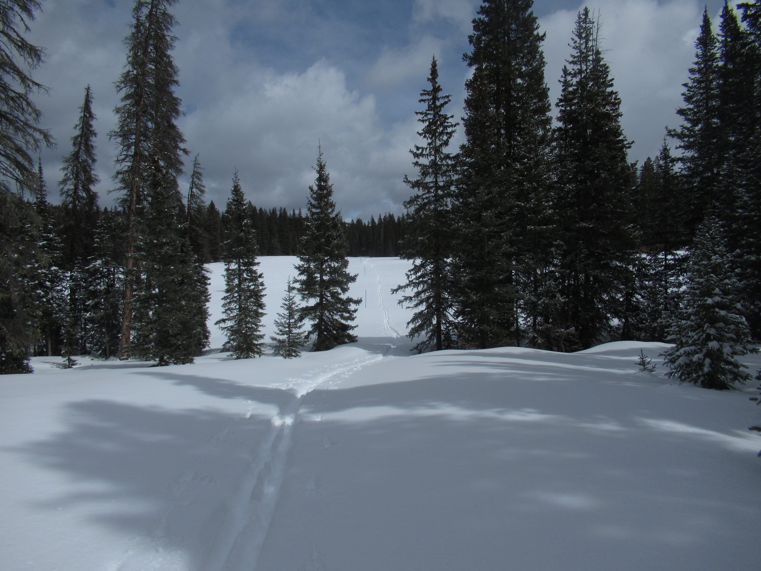 Ward area, March 22, 2025 - Grand Mesa Nordic Council